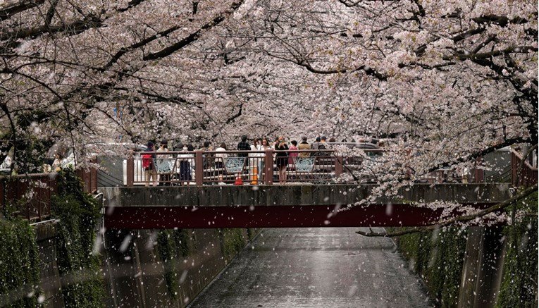 Јапонија го укинува ограничувањето за патување на вакцинирани странски