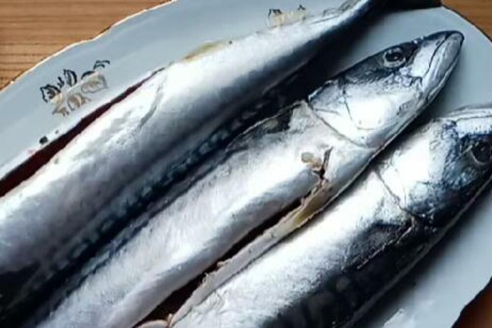 ОВА Е НАЈЗДРАВАТА РИБА ЗА ЈАДЕЊЕ: Поздрава и похранлива од лососот ...