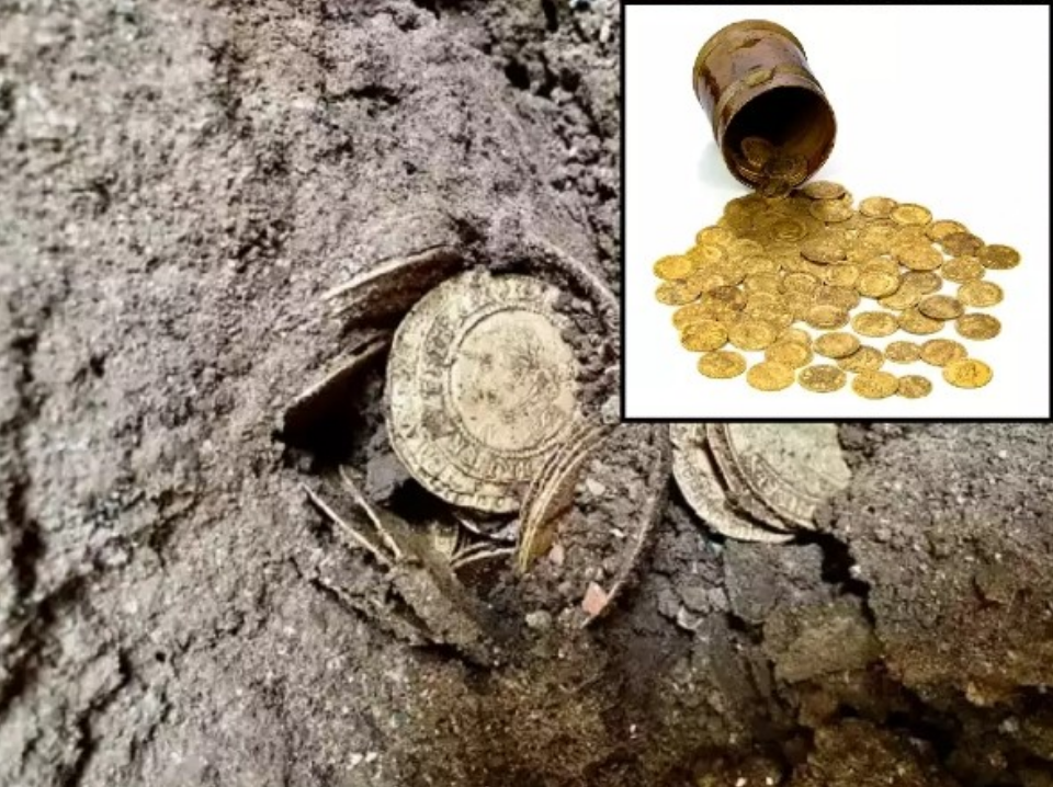 Седеле на злато - Брачен пар од Британија пронашле златници во лонец ...